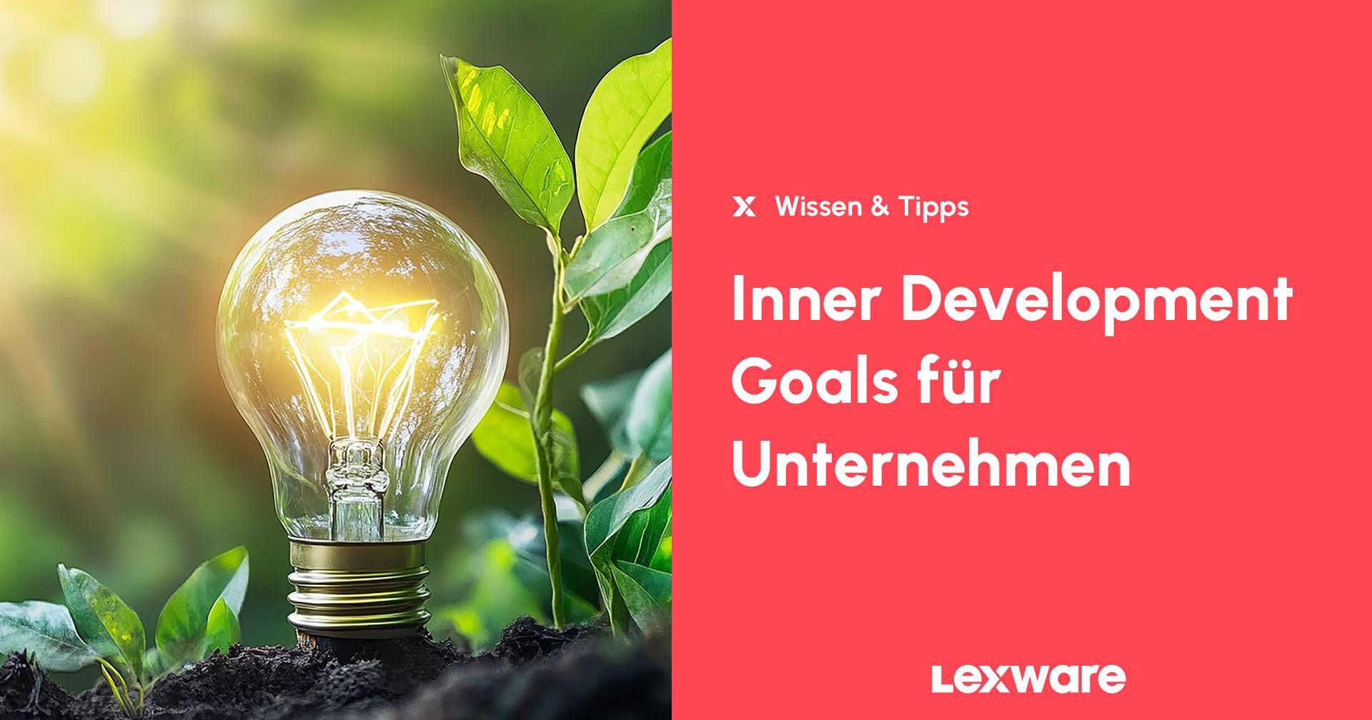 Inner Development Goals für Unternehmen