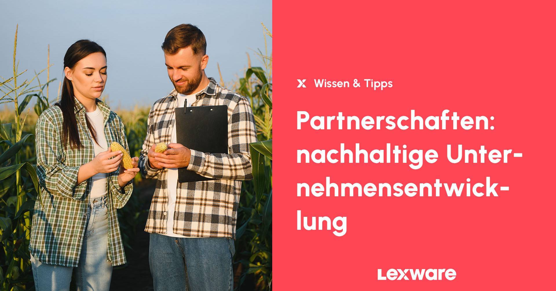 Partnerschaften: nachhaltige Unternehmensentwicklung