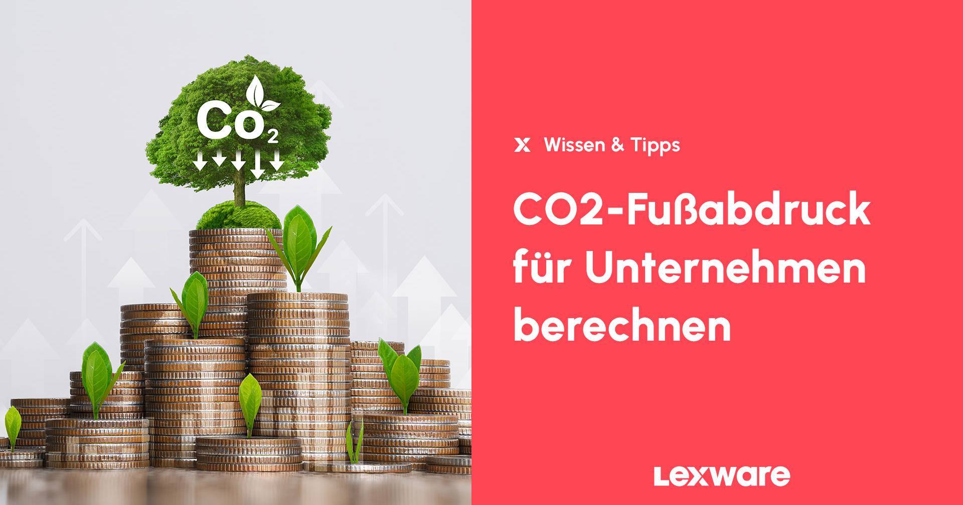 CO2-Fußabdruck für Unternehmen berechnen