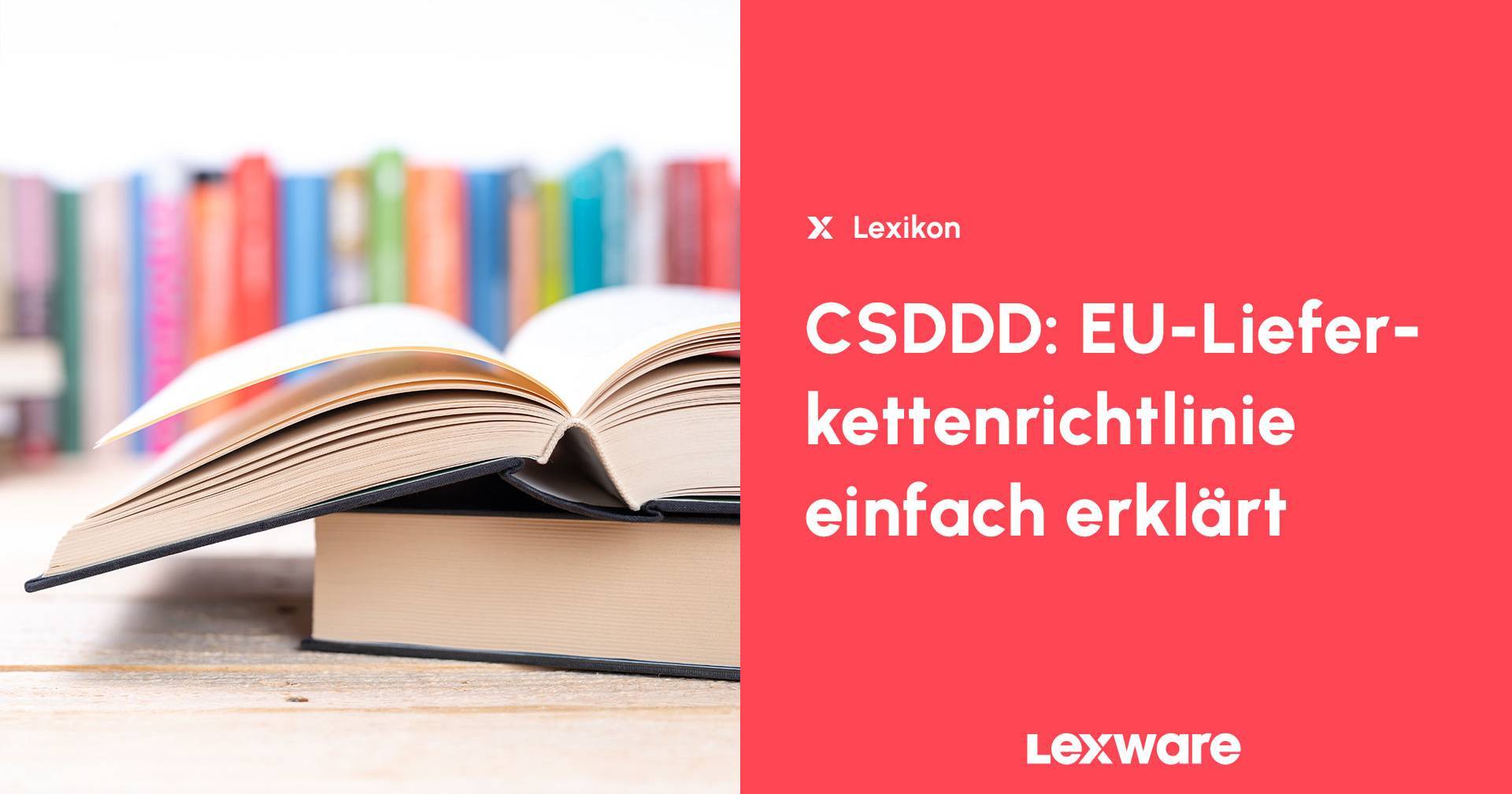 CSDDD: EU-Lieferkettenrichtlinie einfach erklärt