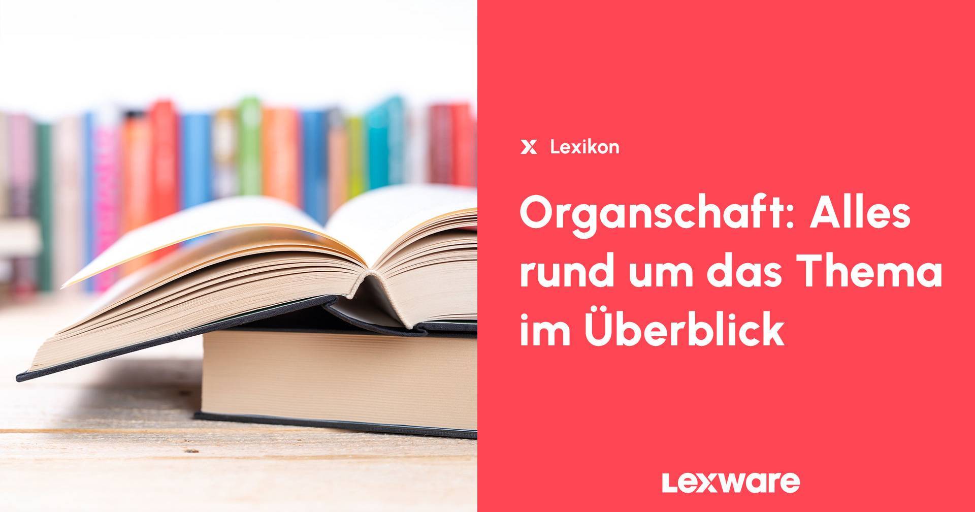 Organschaft: Alles rund um das Thema im Überblick