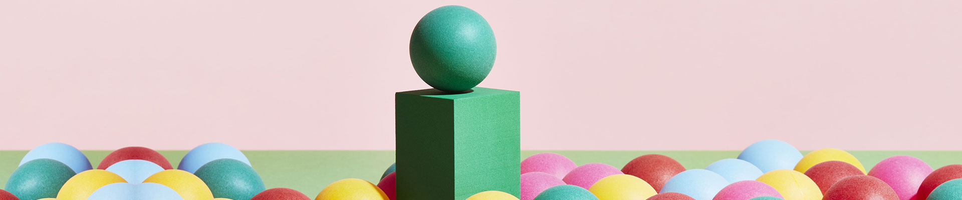 Gesellschafter: Bedeutung, Rechte und Pflichten